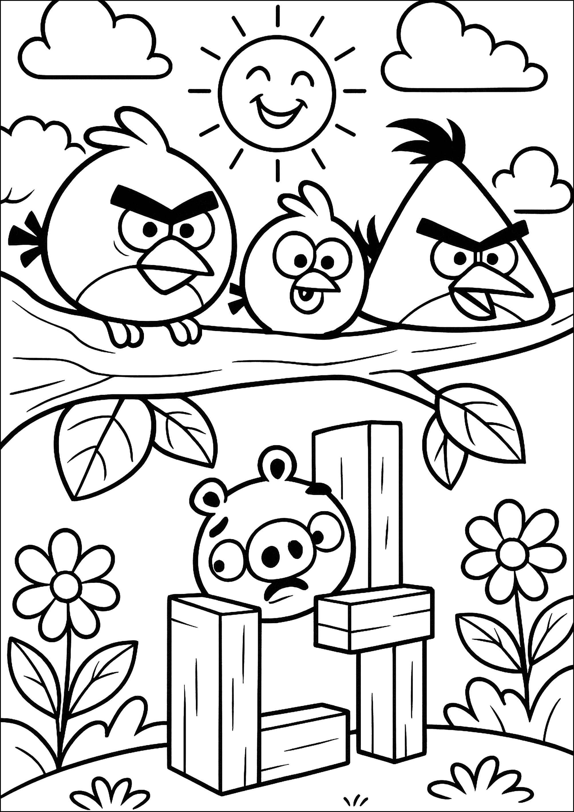 Uccelli su un ramo - Pagine Angry Birds da Colorare