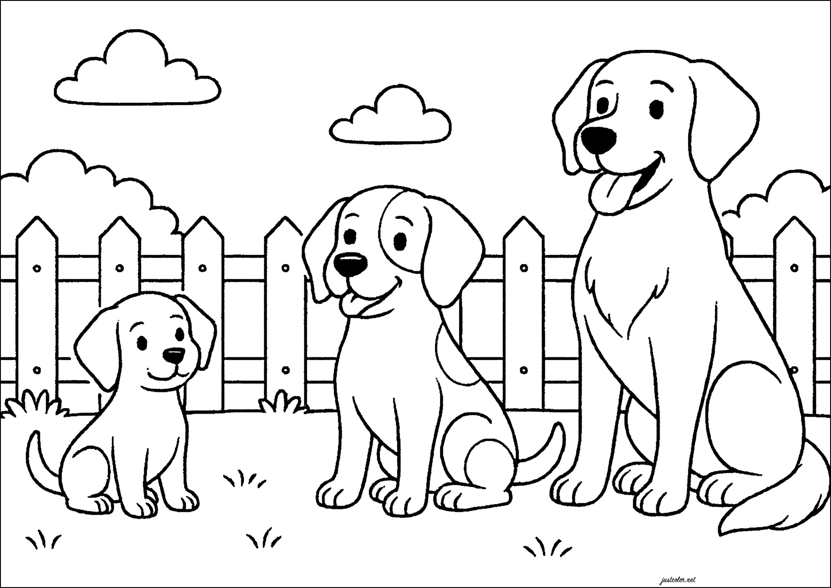 Tre Cani di dimensioni diverse - Pagine Cani da Colorare