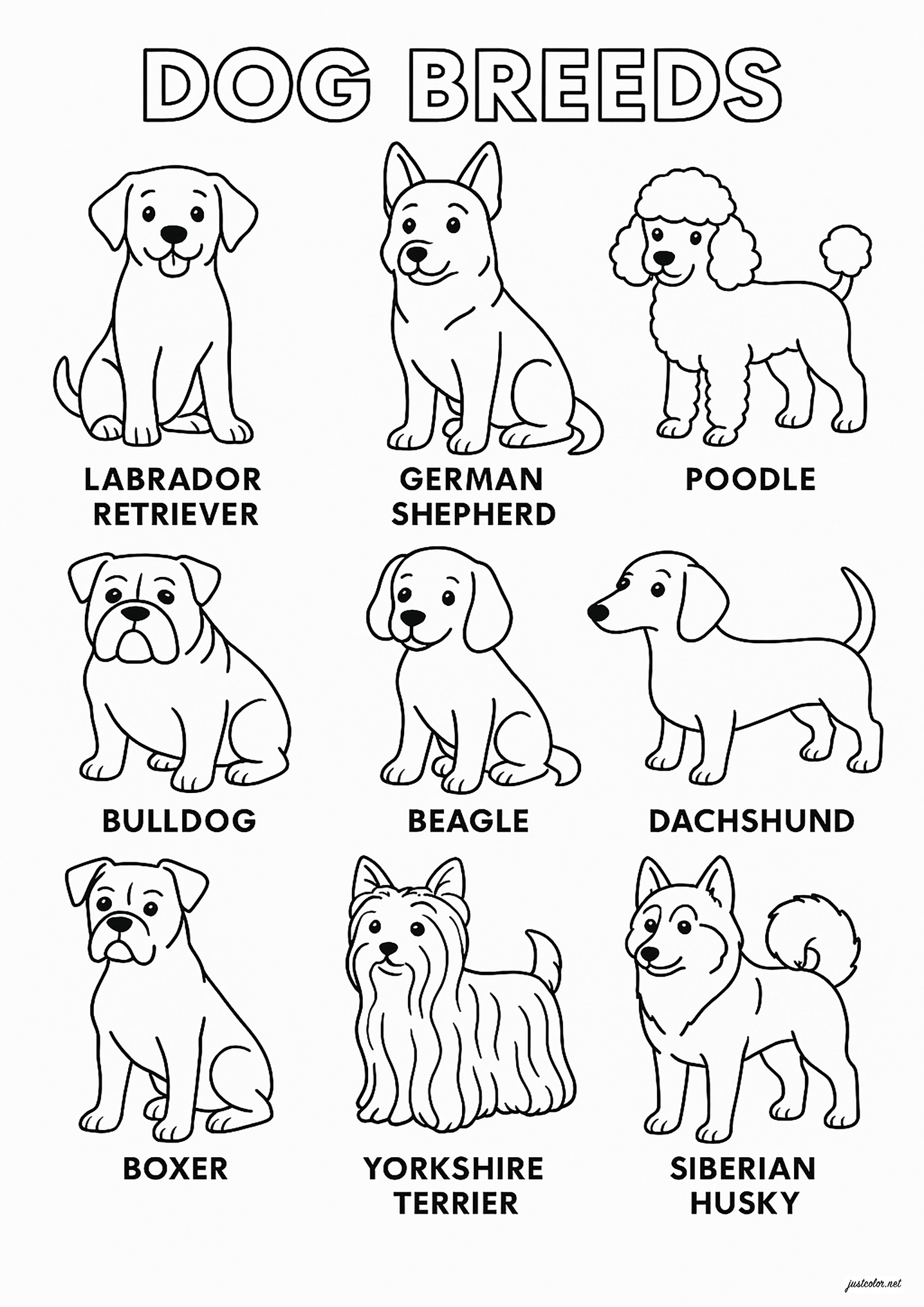 9 razze di Cani - Pagine Cani da Colorare