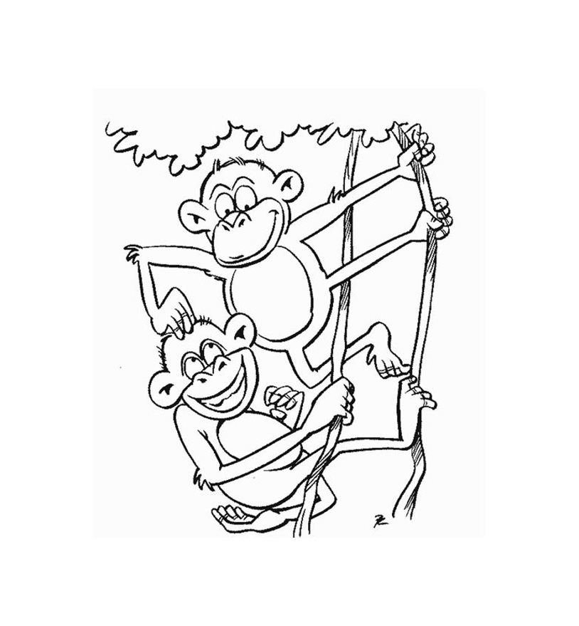 Disegno Da Colorare Di Scimmia Per Bambini Disegni De Scimmie Facili