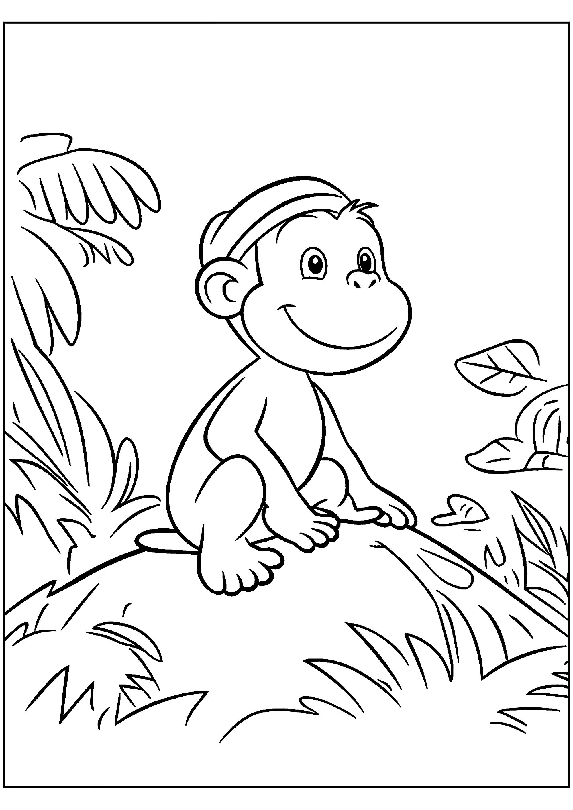 George na selva - Páginas de Jorge, o Curioso para colorir para crianças