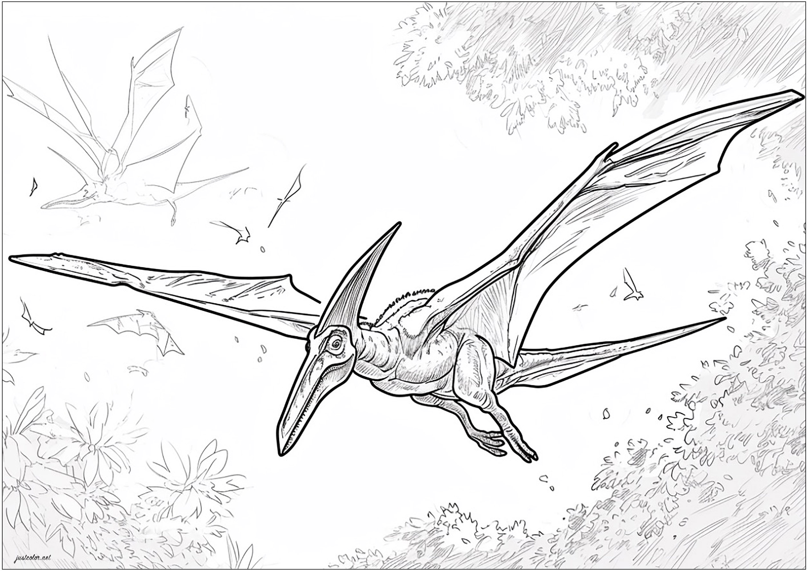 Dinosaurier Pterodactyl Dinosaure Ausmalbilder Dinosaurios Dinosaurio ...