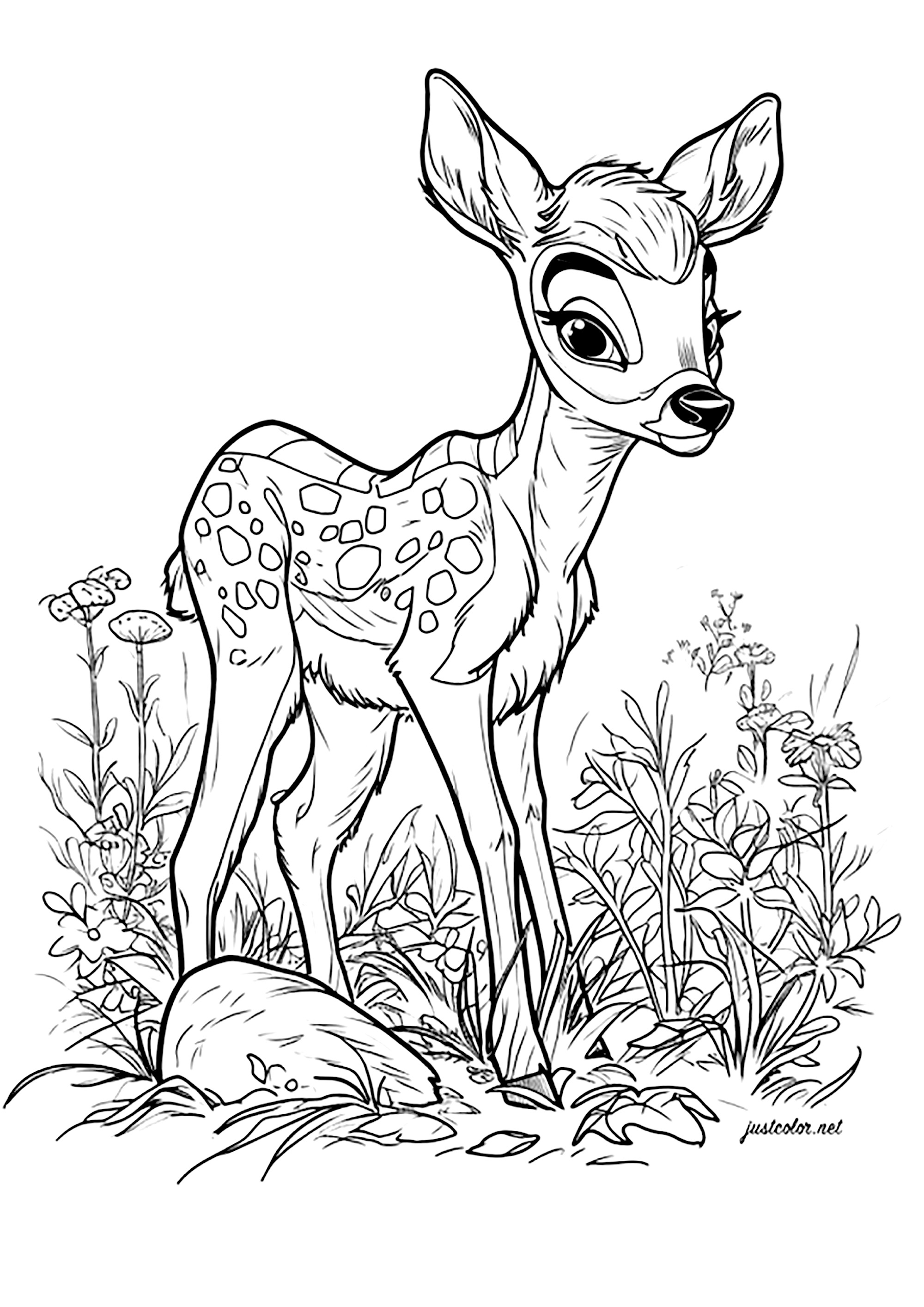 Faon dans une prairie, avec de jolies fleurs autour - Coloriages de Faon à imprimer