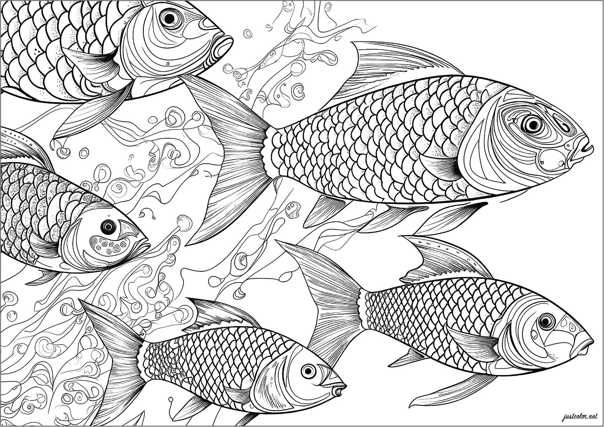 Plusieurs poissons nageant dans des eaux calmes - Coloriages de ...