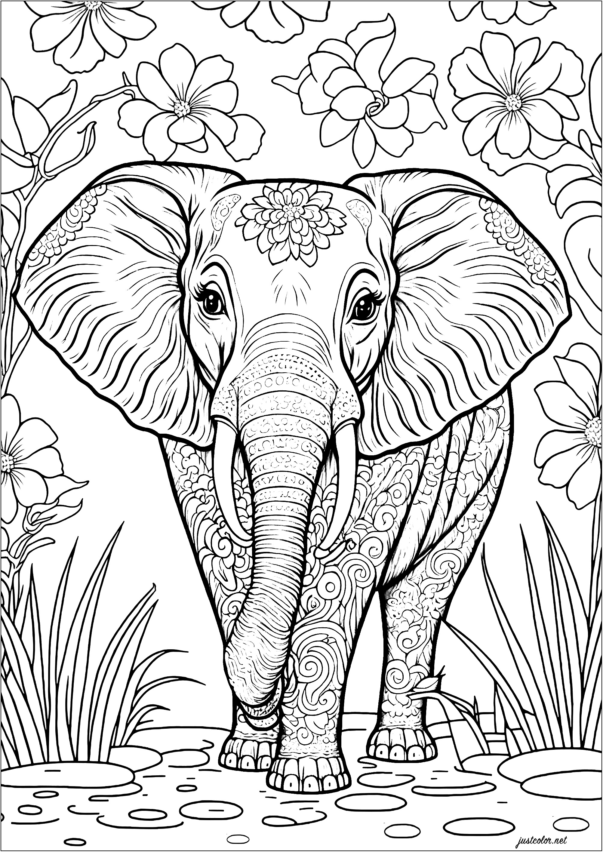 Eléphant et fleurs - Coloriages de Éléphants à imprimer pour adultes
