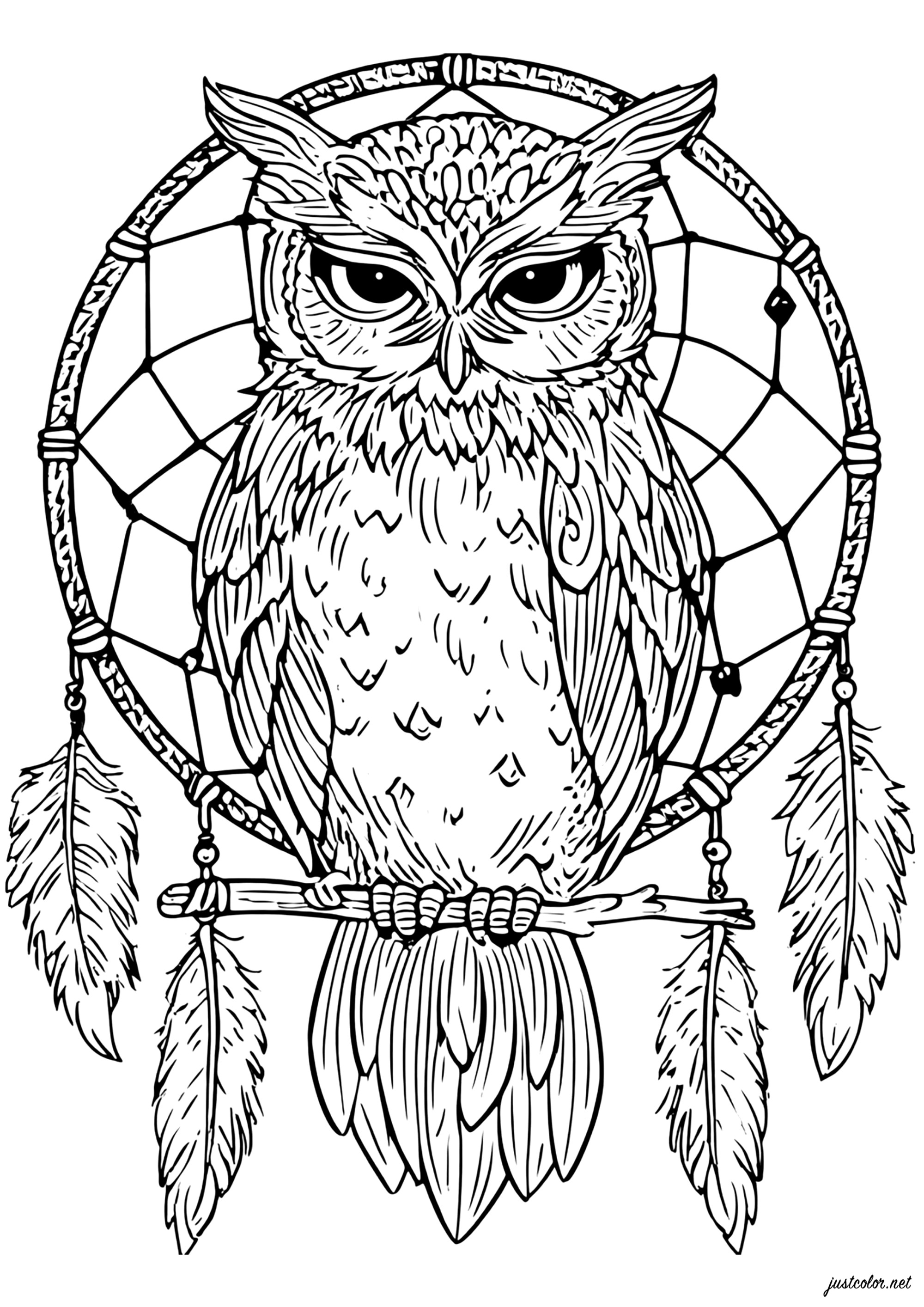Hibou rêveur dans un cercle mystique - Coloriages d'Hiboux à imprimer ...