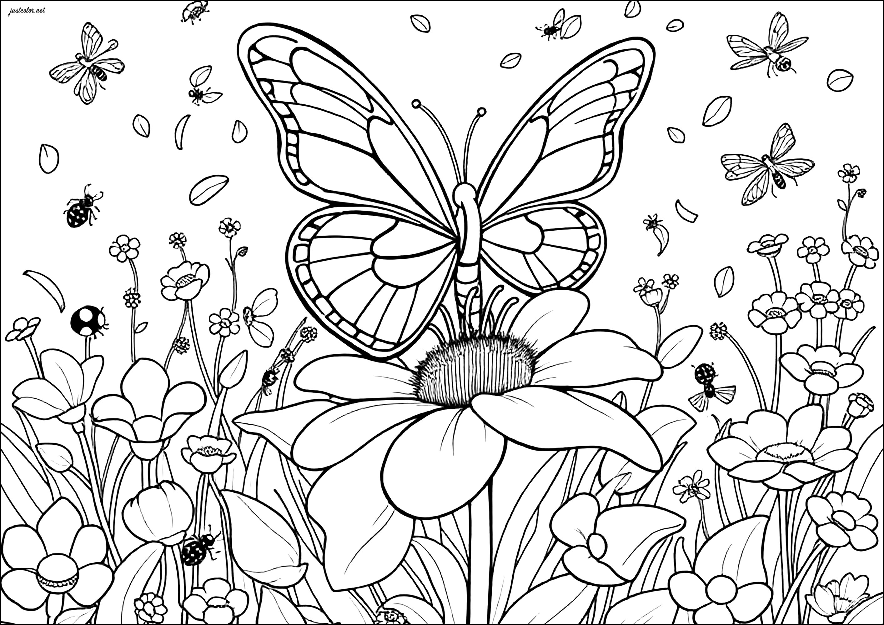 Papillon sur une fleur - Coloriages de Papillons & insectes à imprimer