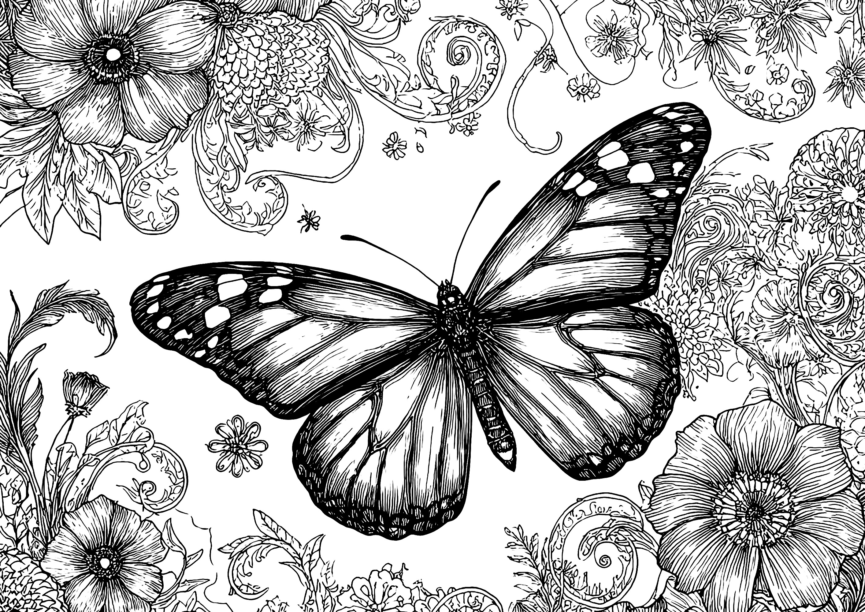 Joli papillon dans un coloriage complexe - Coloriages de Papillons ...