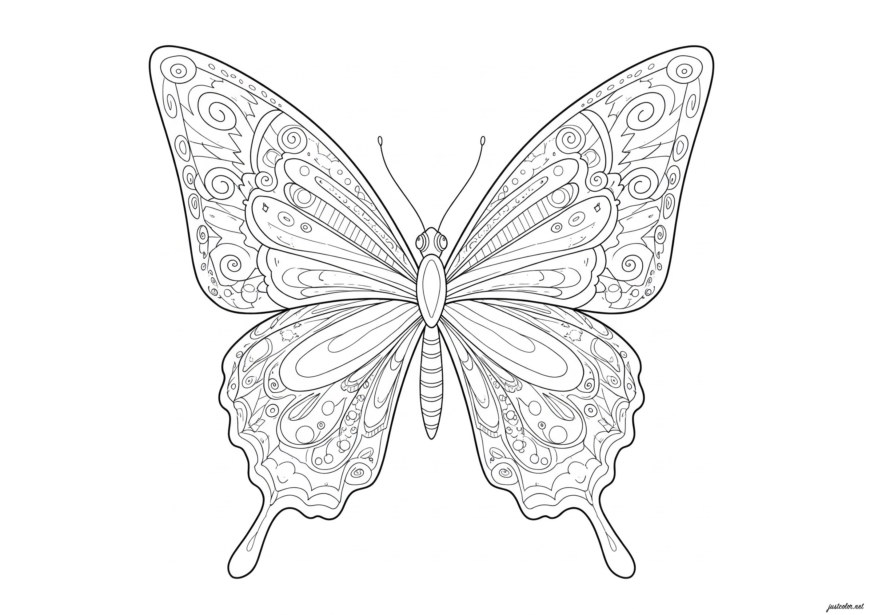 Coloriage d'un papillon aux ailes pleines de détails et motifs variés ...