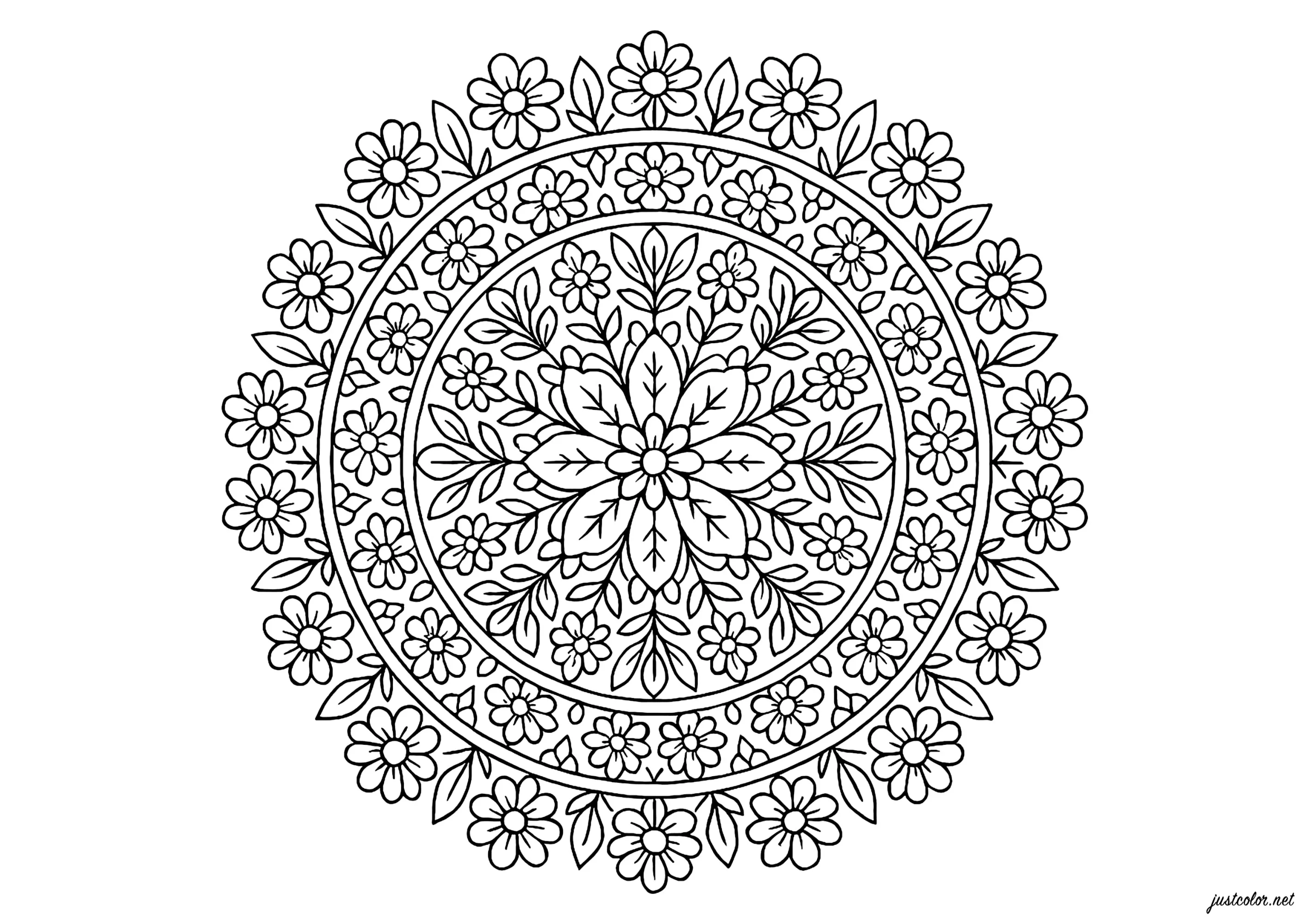 Sitemapcdatahttpsapp2kedriinfocoloriage Mandala Fleurnull