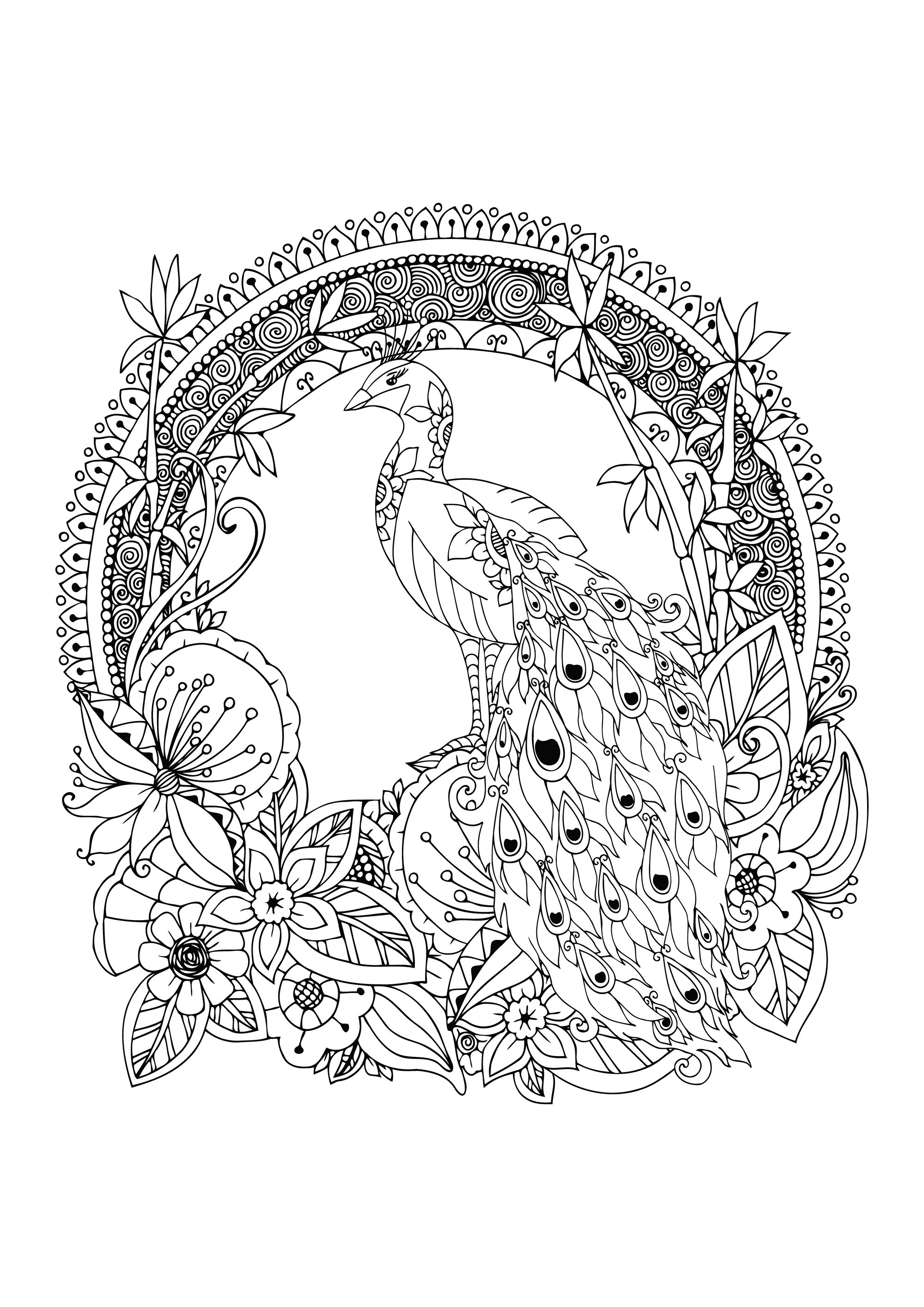 Paon et Mandala - Coloriages de Paons à imprimer pour adultes