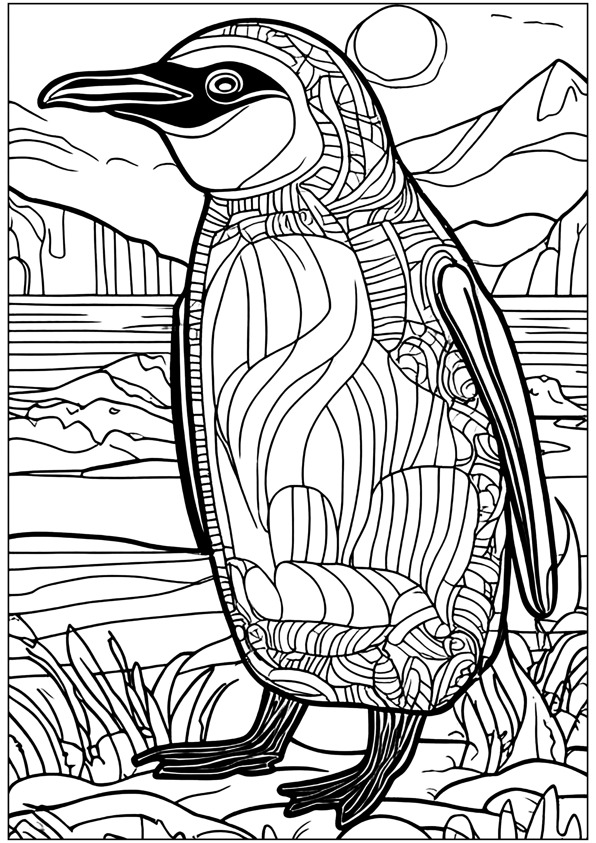 Pingouin avec motifs - Coloriages de Pingouins à imprimer pour adultes