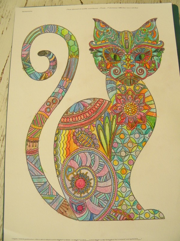 Elegant cat with complex patterns - Cats Adult Coloring Pages