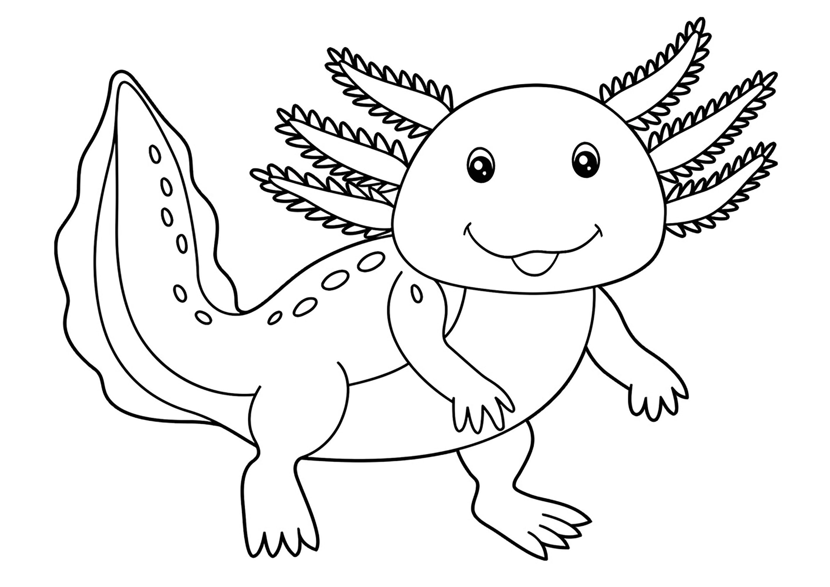 Axoloti: easy to color - Axolotl Coloring Pages
