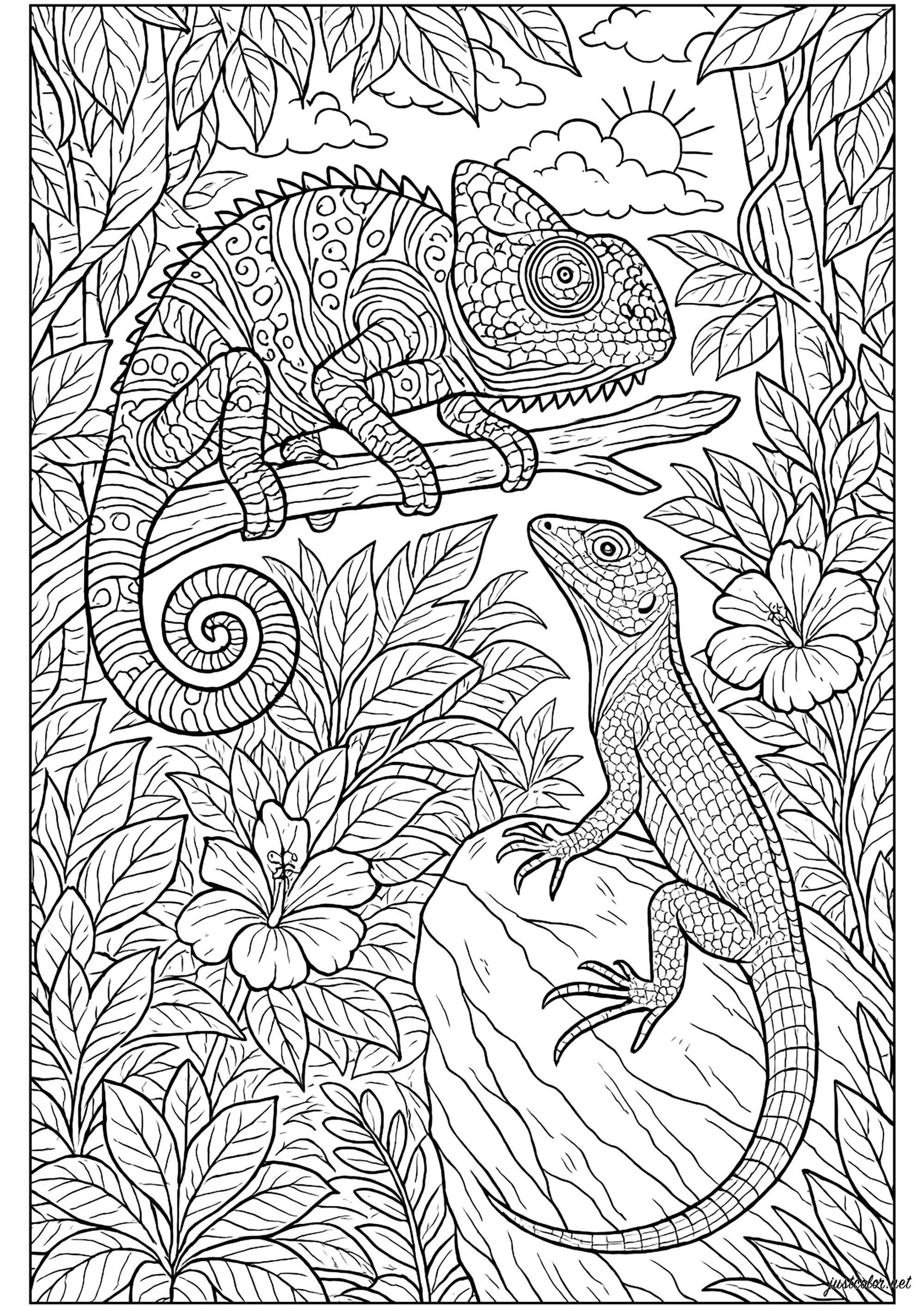 Reptile duo in the jungle - Chameleon and Lizard Coloring Pages