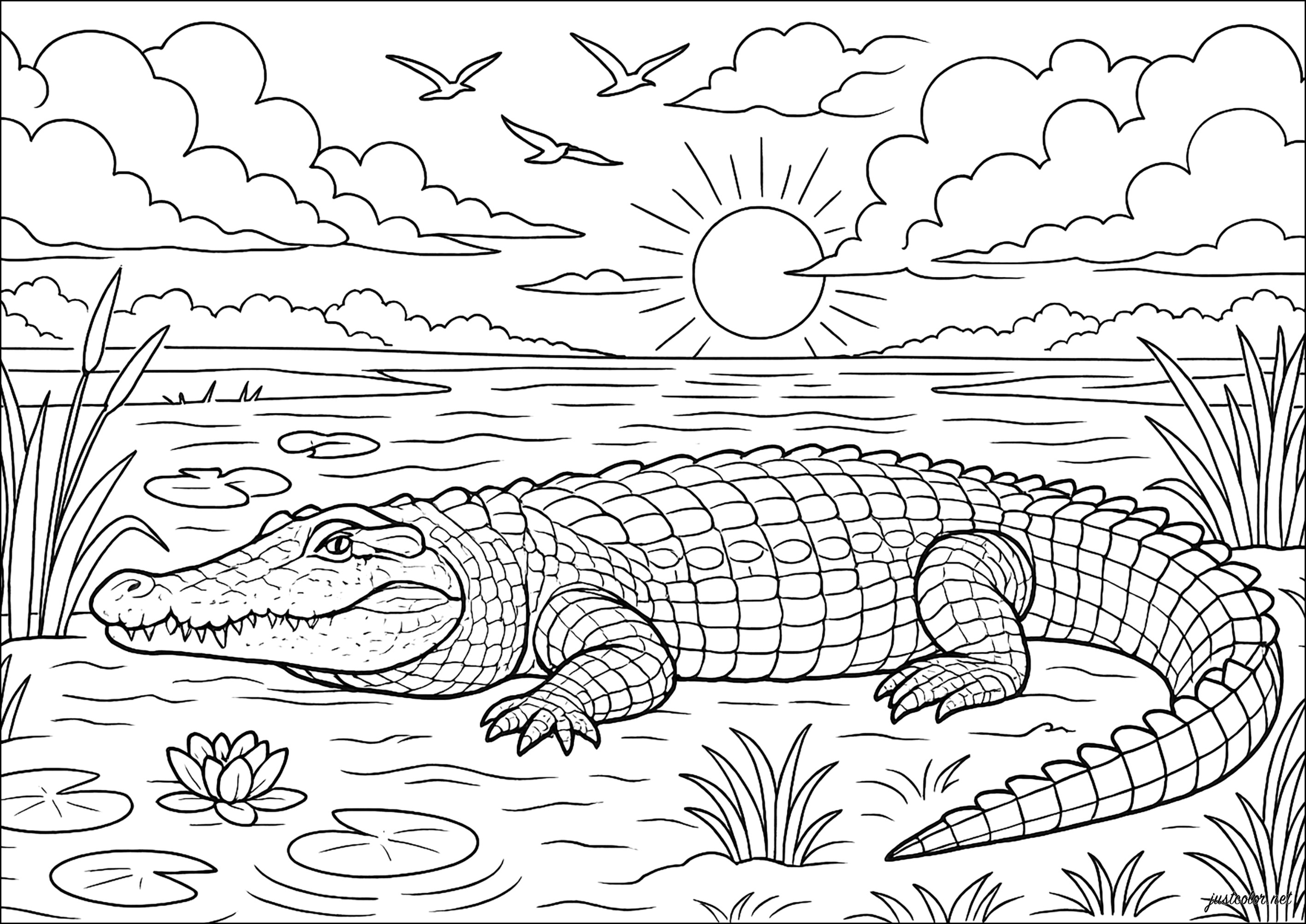 Swamp crocodile - Crocodile Coloring Pages