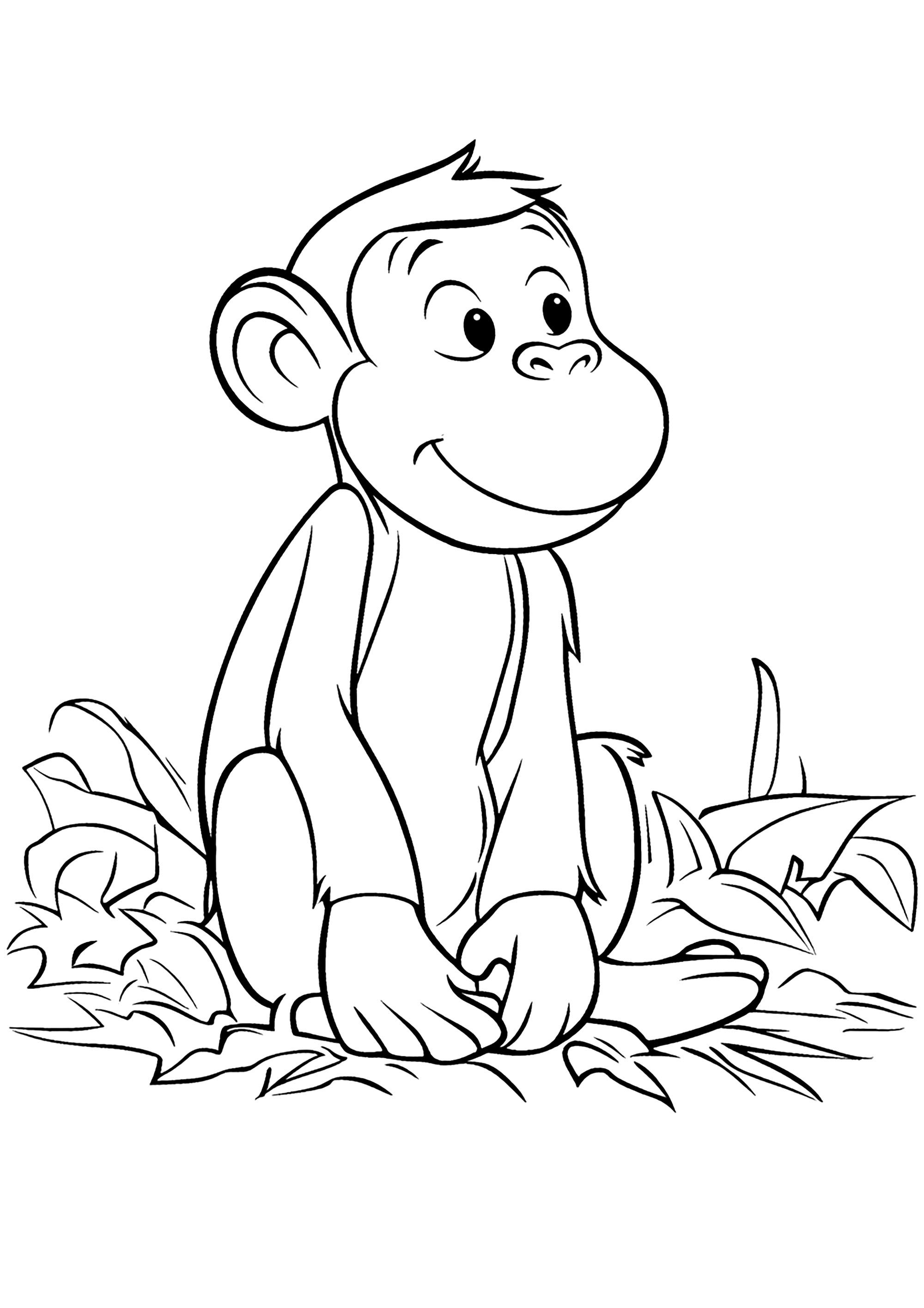 no noggin curious george coloring pages