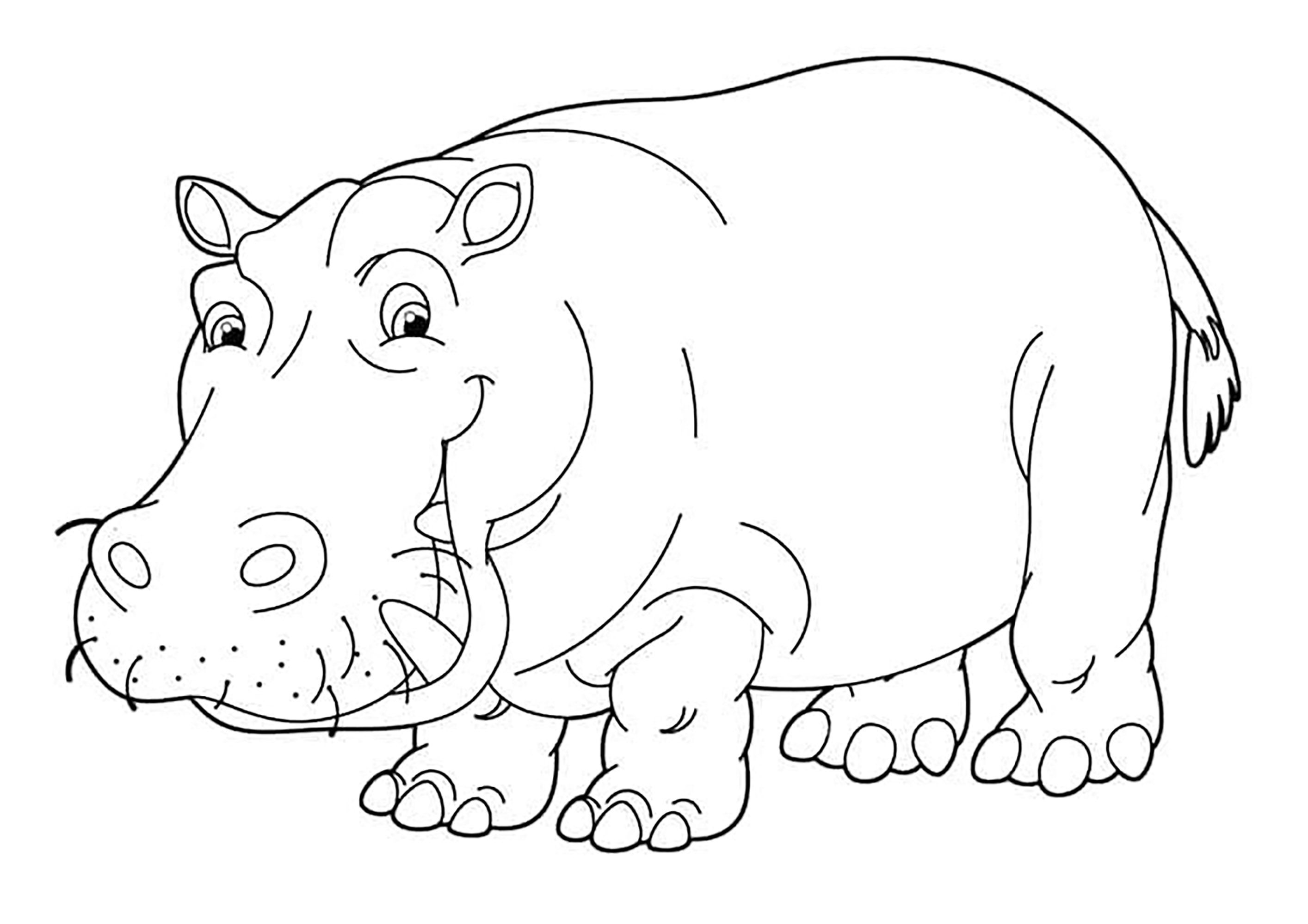 Realistic hippopotamus - Hippopotamus Coloring Pages