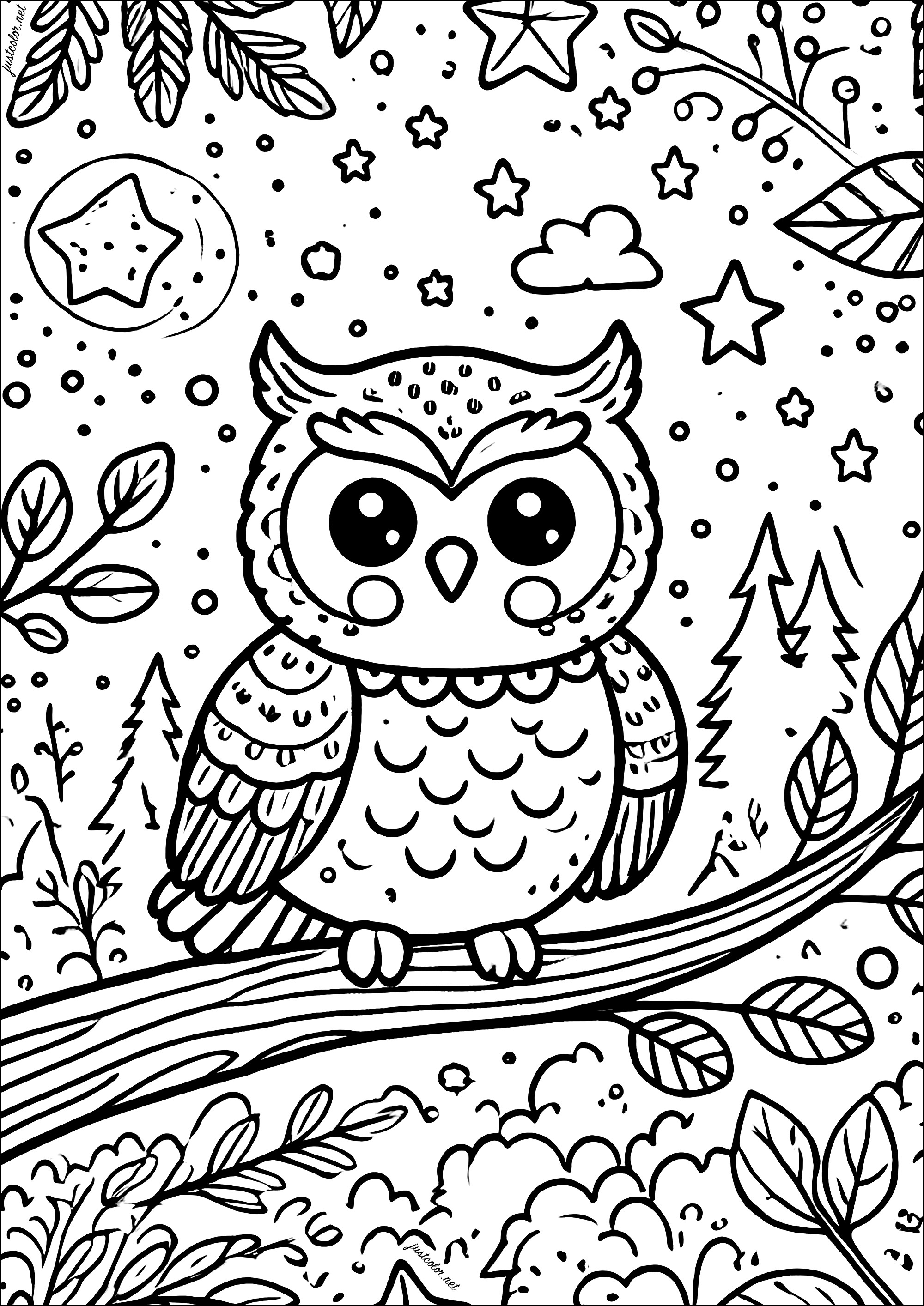 Little owl on a branch - Owls Coloring Pages