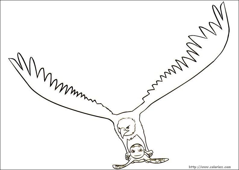 Samy's coloring to download for free - A Turtle's Tale: Sammy's ...