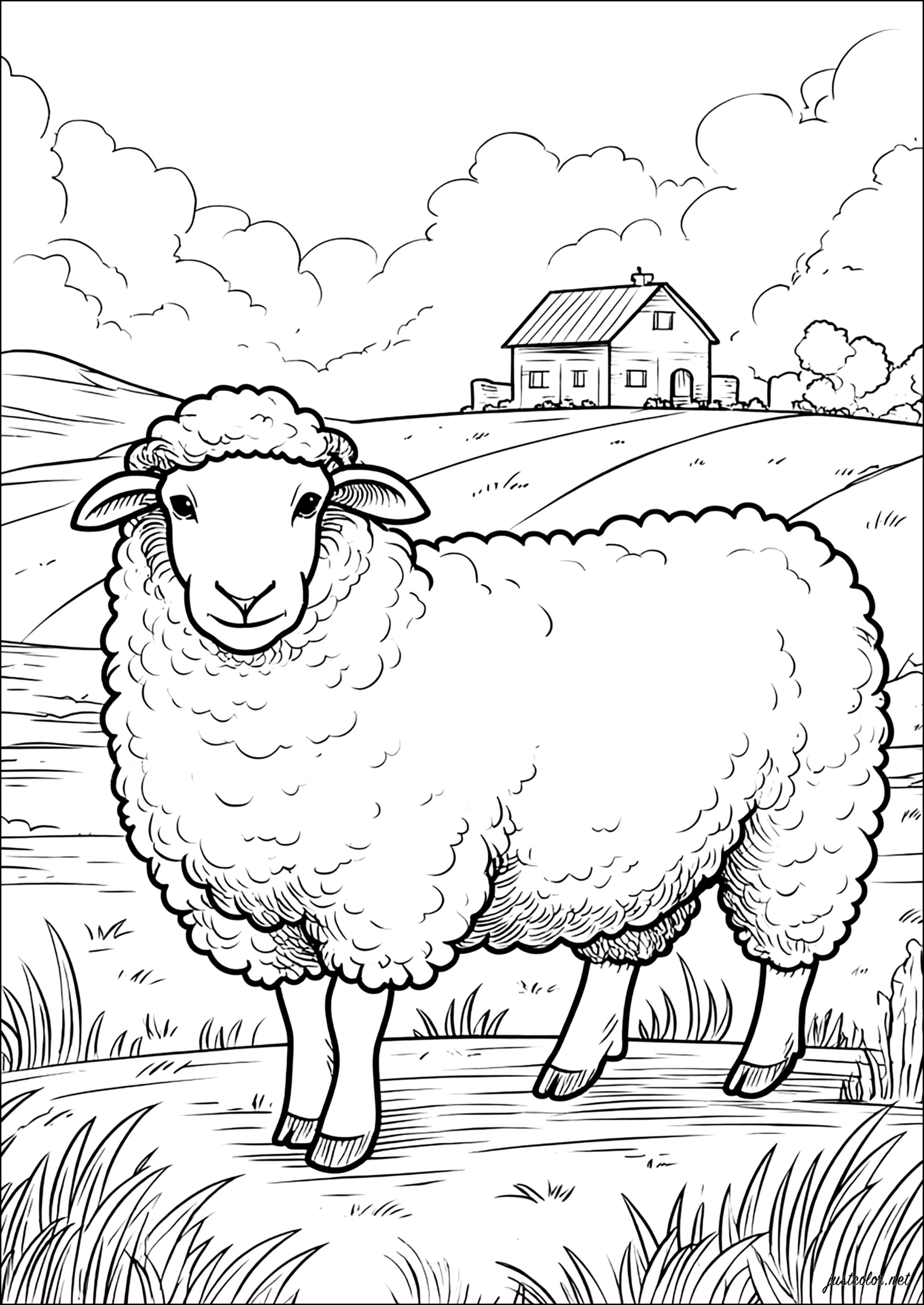 Peaceful sheep in the meadow - Sheep Coloring Pages