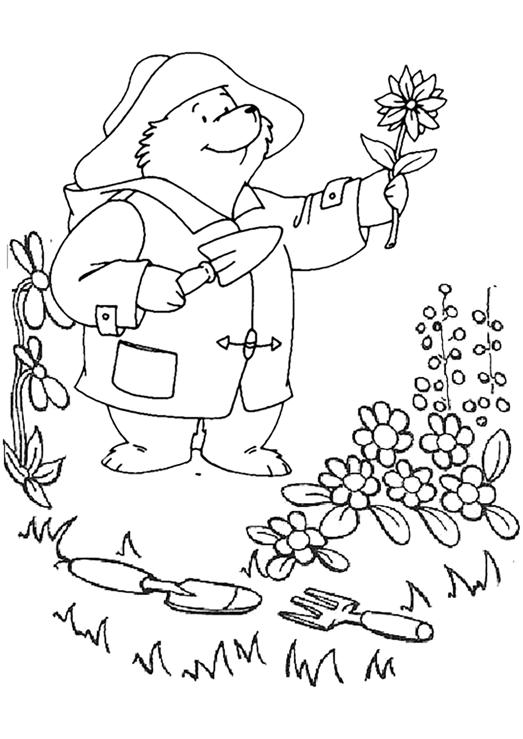 Ausmalbilder von paddington-bär für Kinder - Ausmalbilder von ...