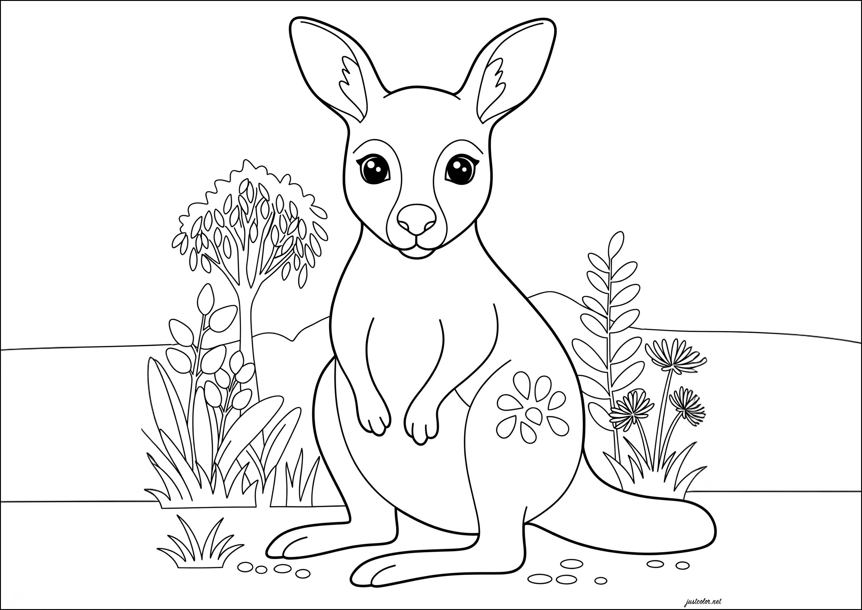 Bonito canguro para colorear - Páginas de Canguros para imprimir