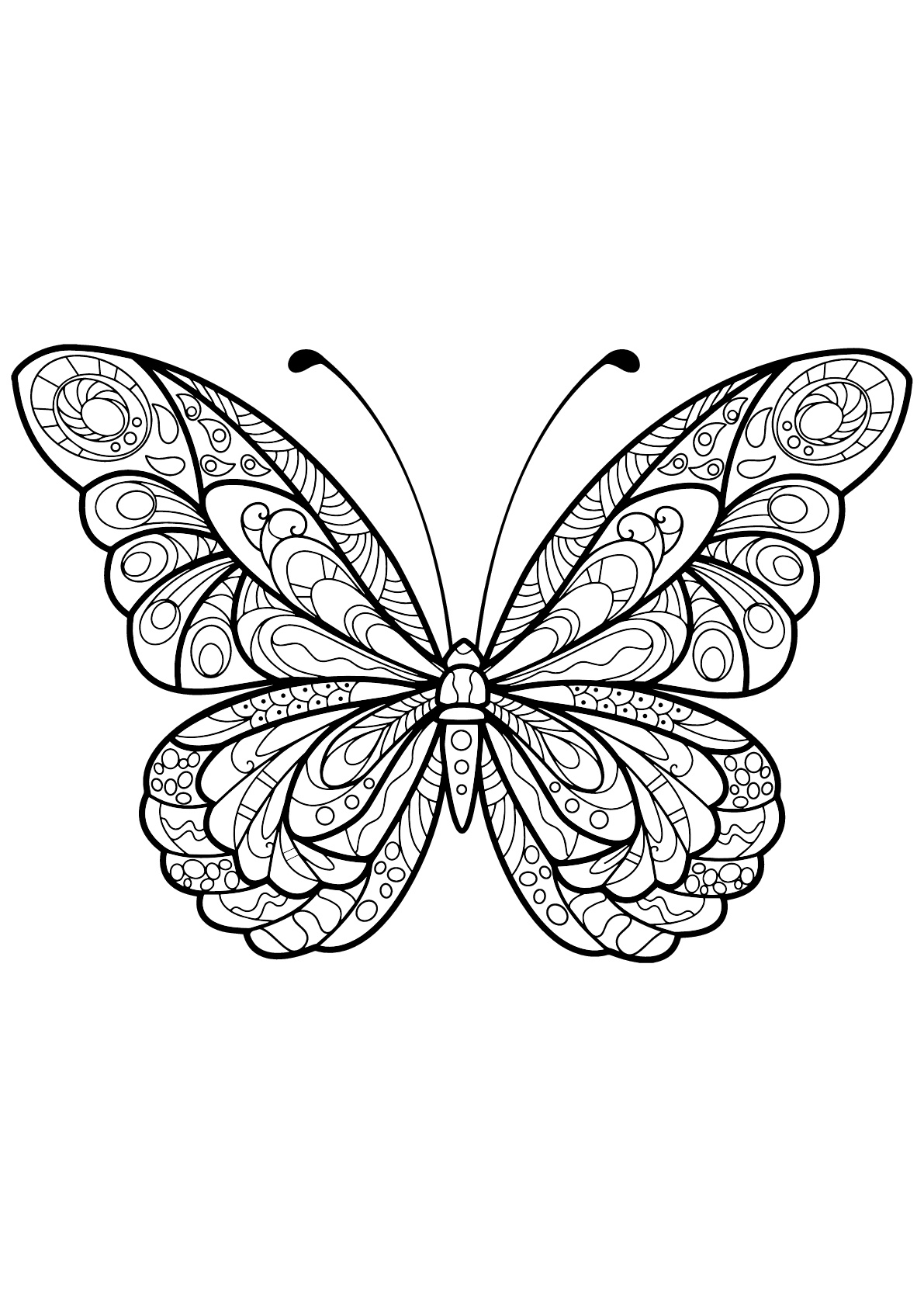 Colorear Mariposas para niños - Páginas de Mariposas para imprimir