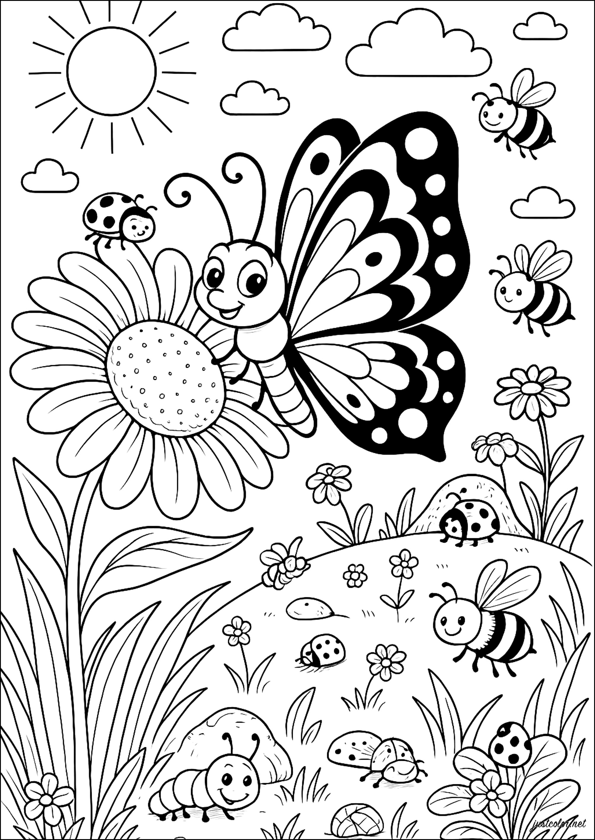 Dibujos Para Colorear De Insectos Para Imprimir