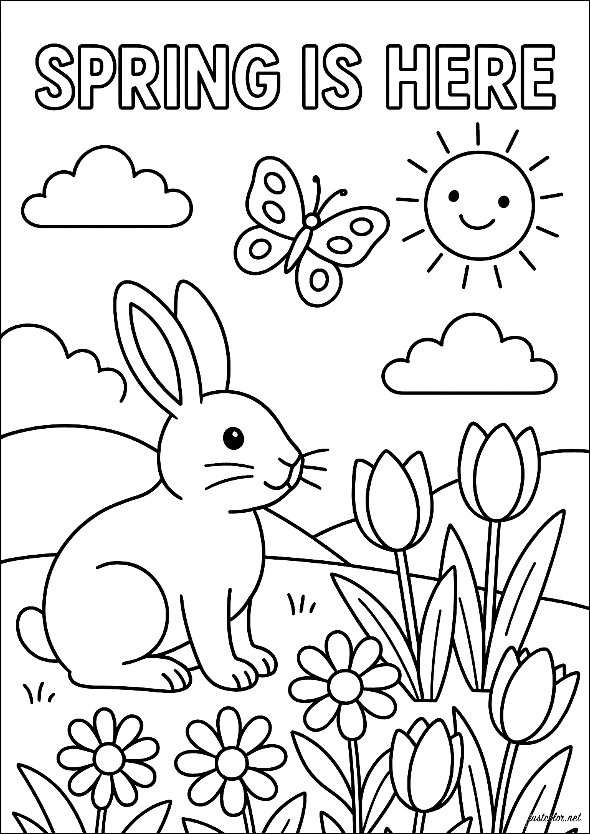 Dibujos Para Colorear De Primavera Para Niños: Conejito