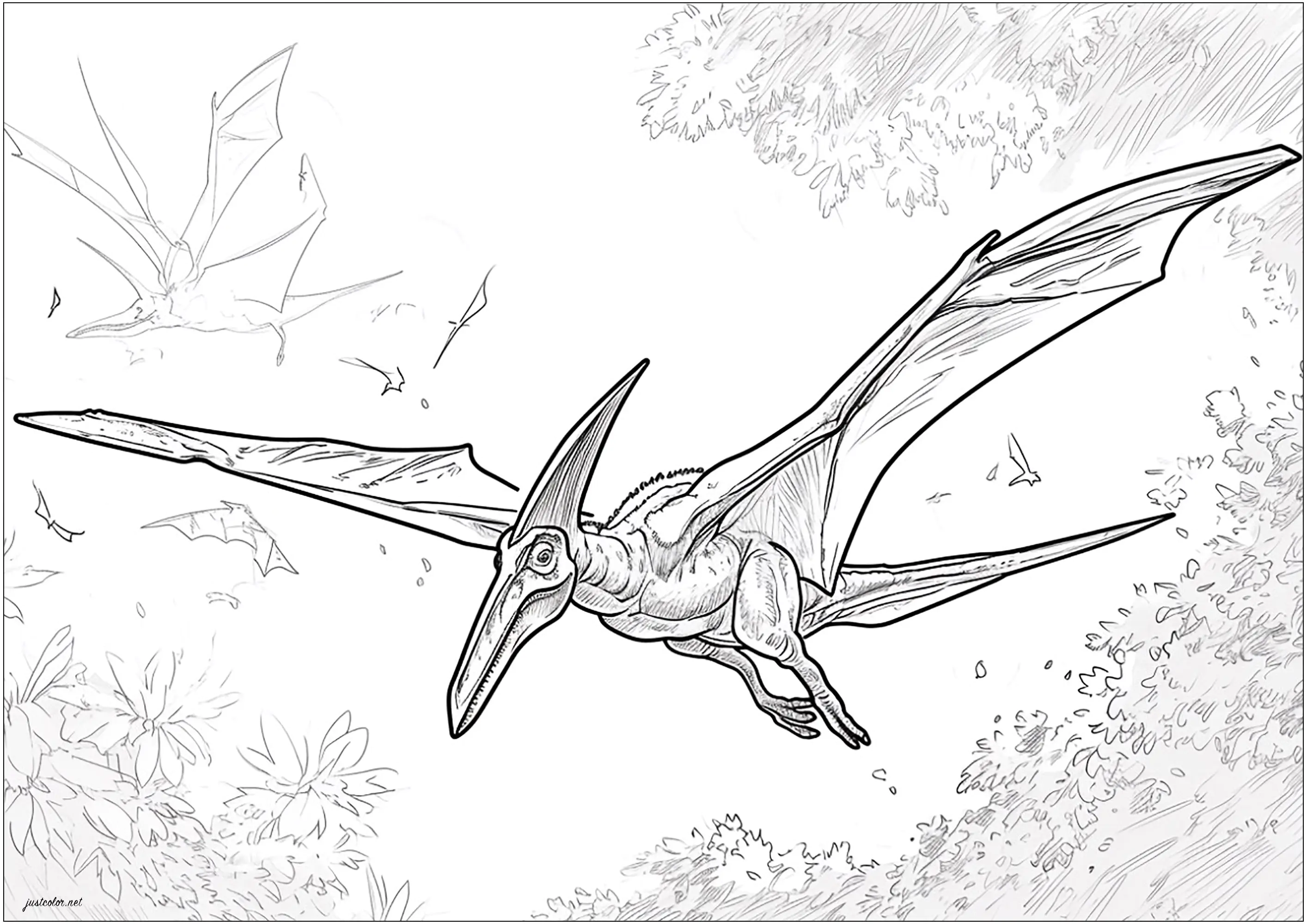Pterodáctilo à espreita - Páginas de Dinossauros para colorir