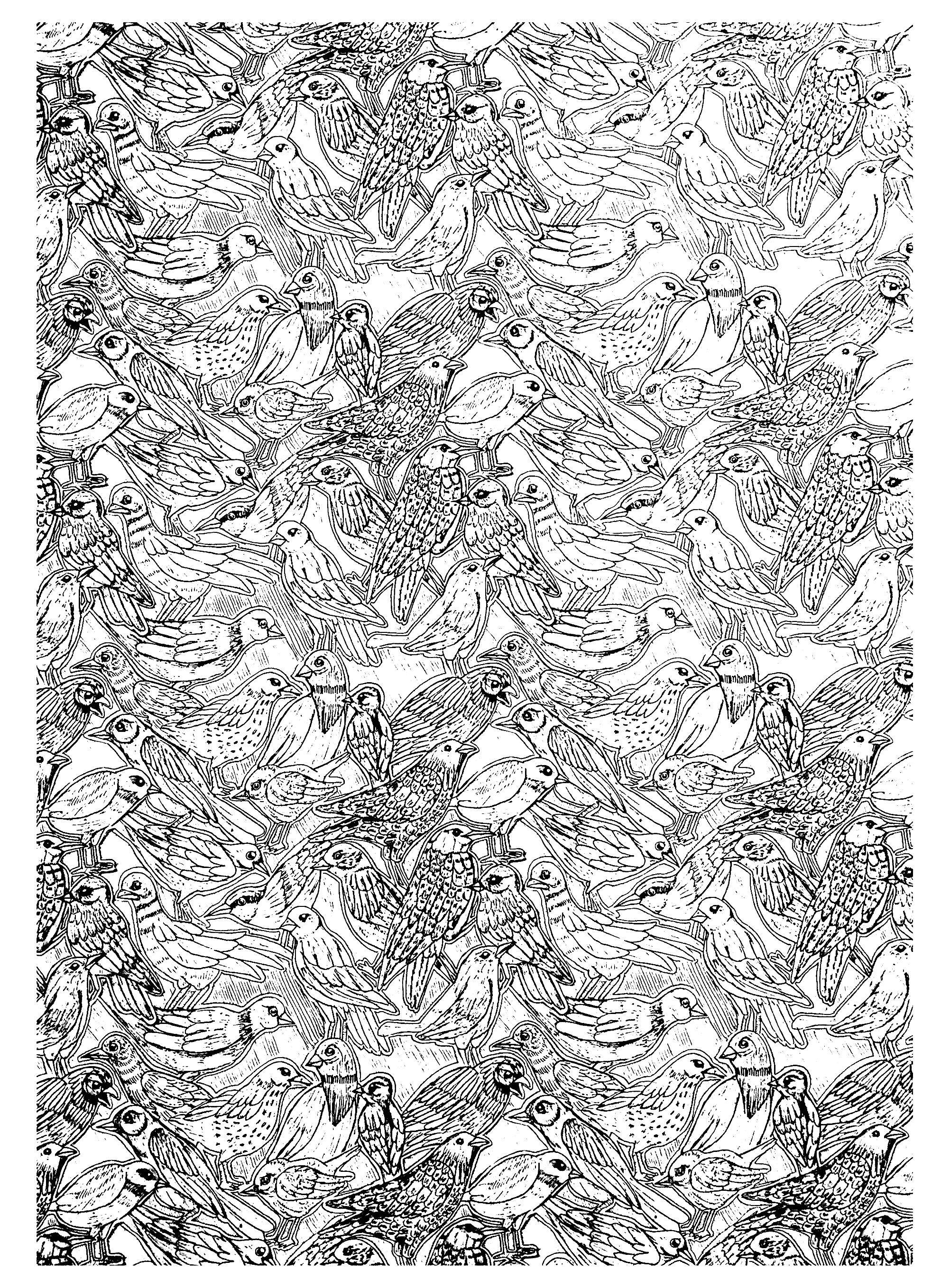 Bird complex | Animals - Coloring pages for adults | JustColor