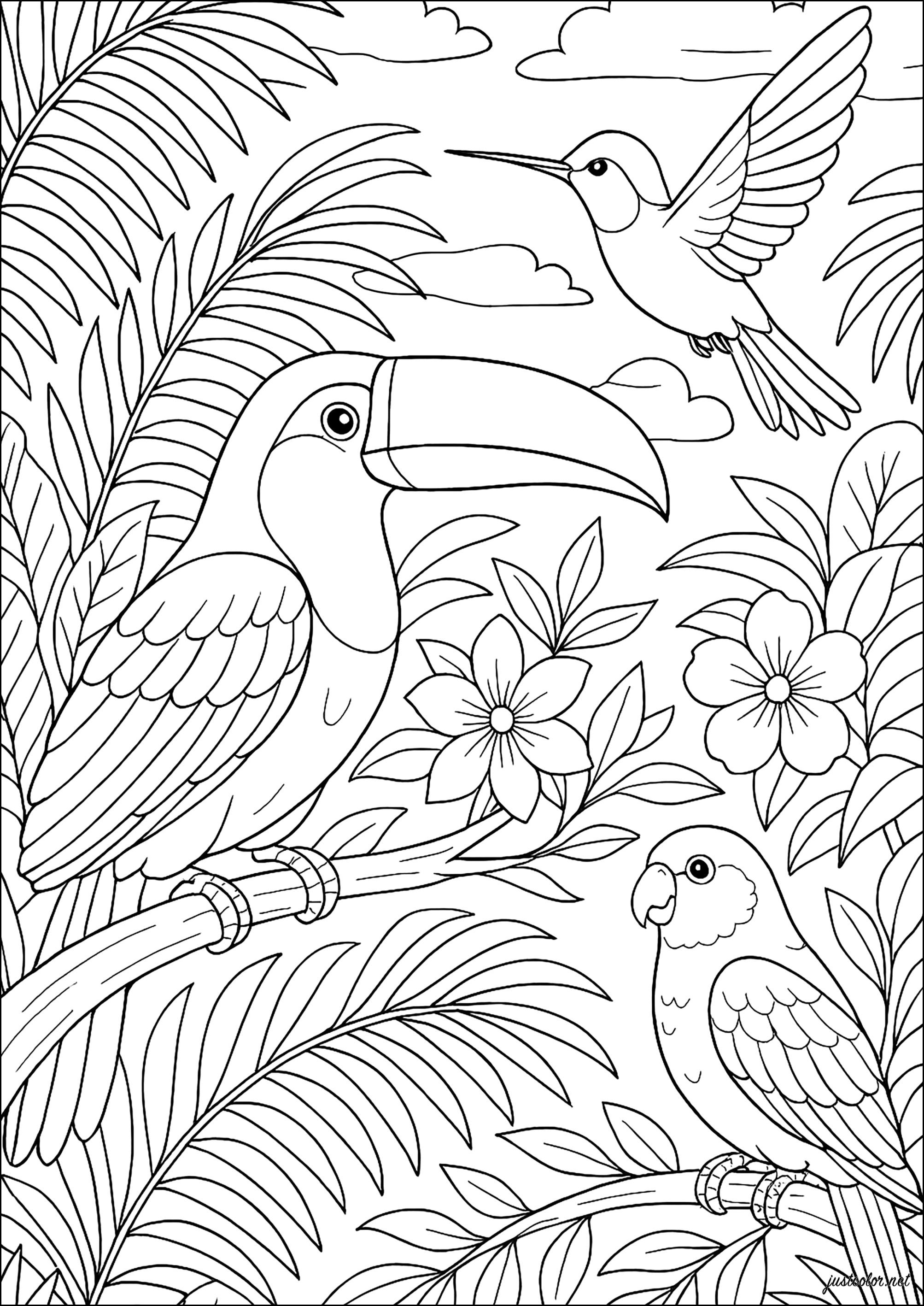 Tropical Trio - Bird Coloring Pages for adults