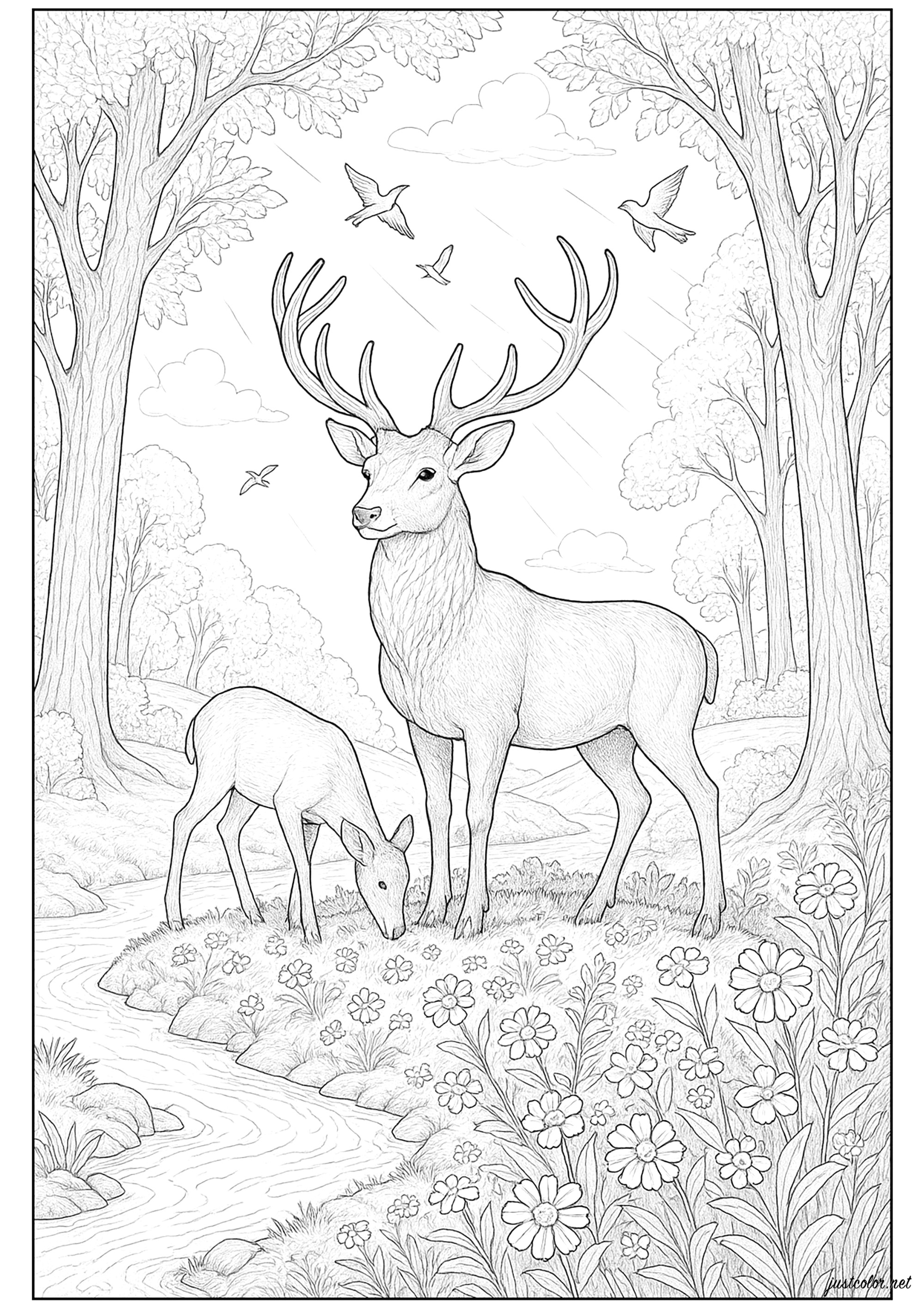 Majestic stags in a beautiful forest - Deer Coloring Pages for adults