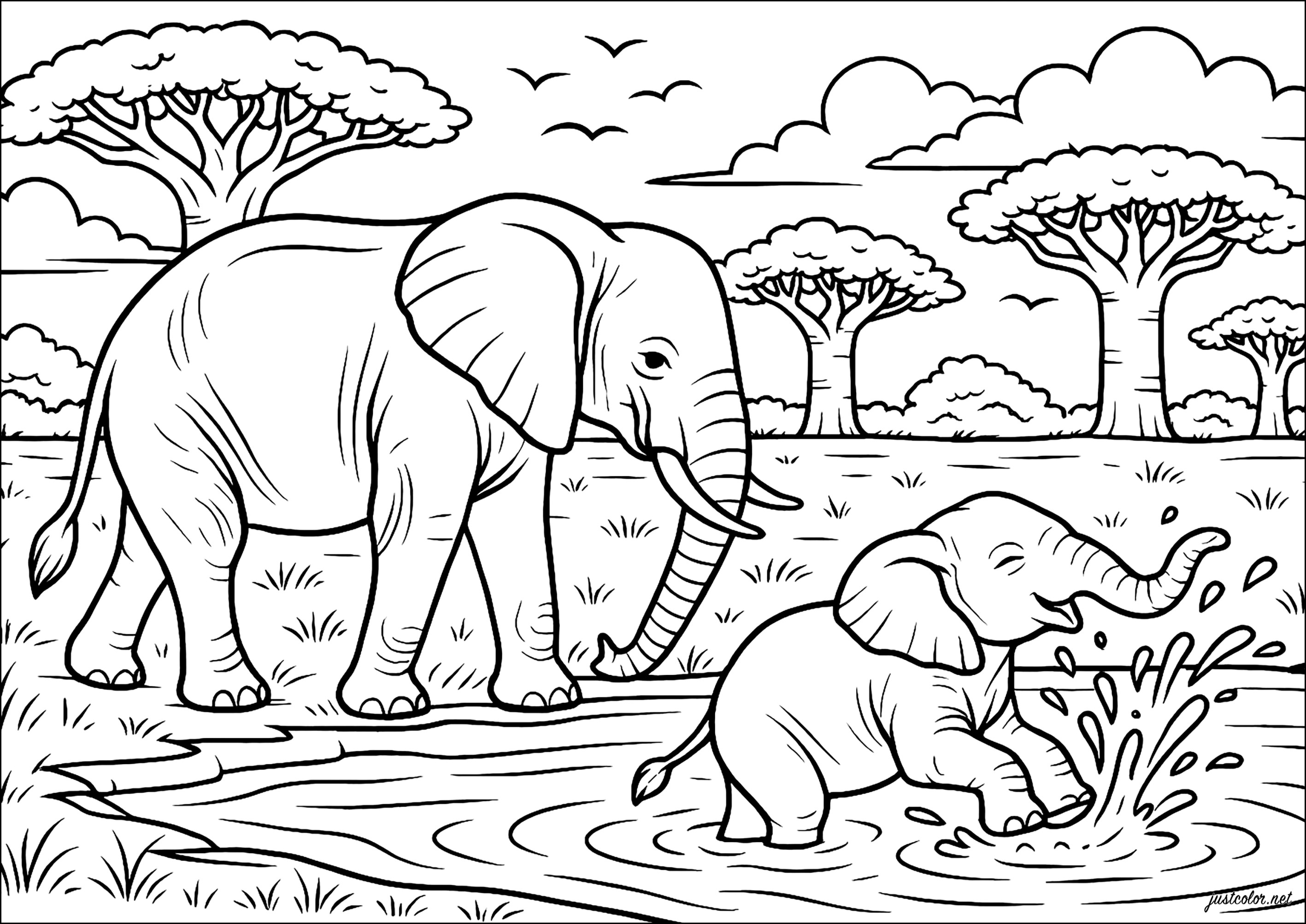 Two elephants by the lake - Elephant Coloring Pages for adults
