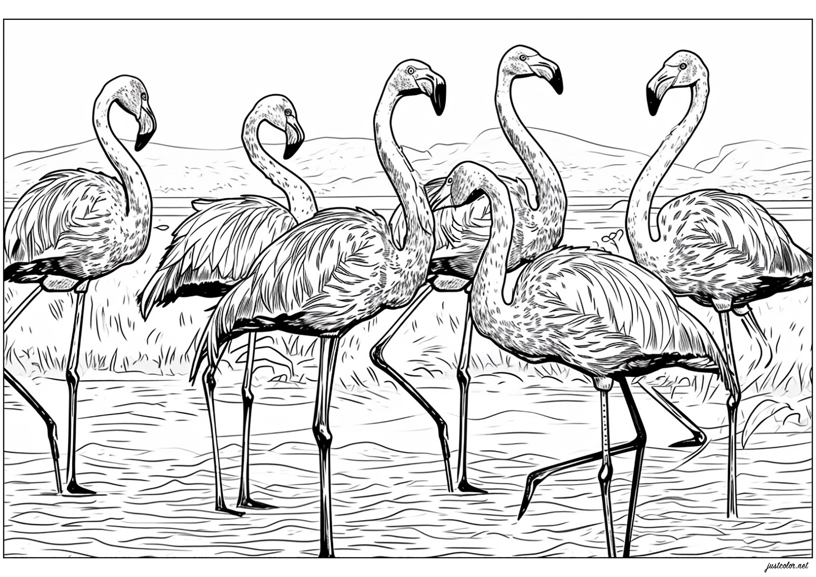 Flamingos-68599 - Flamingo Coloring Pages for adults
