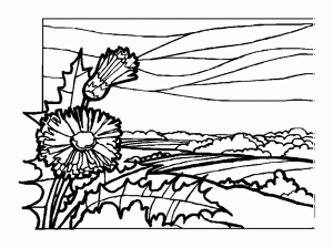 Landscape Coloring Pages for Adults (Free PDF printables)