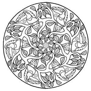 Parrot Coloring pages - Coloring pages for adults | JustColor