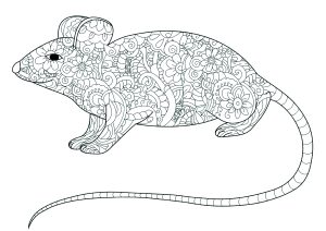 Mouse Coloring Pages for Adults (Free PDF printables)