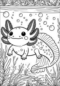 printable coloring pages of an axolotl