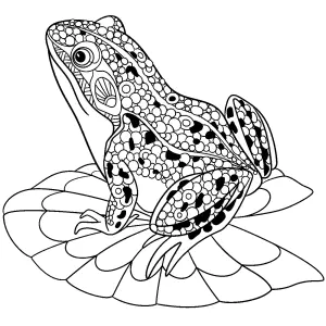 frog on lily pad coloring page
