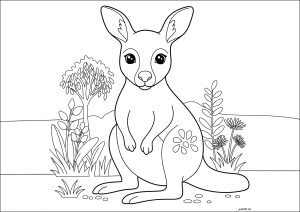 free coloring pages horses kangeroos