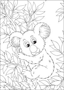 Koala coloring page with bamboo leaves - Koalas Coloring Pages for Kids