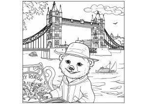 paddington bear coloring pages