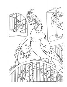 free rio the movie coloring pages