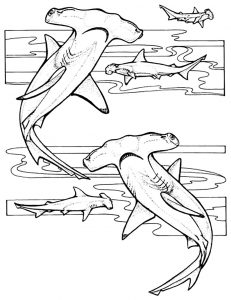 scary shark coloring pages for kids