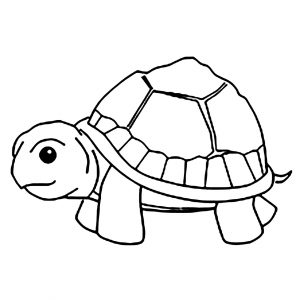 Coloring for kids of a beautiful Turtle with a nice shell - Turtles ...