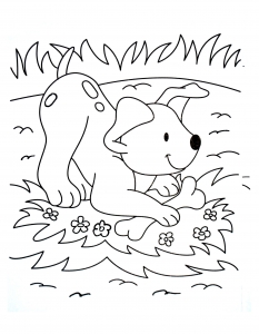 Dos cachorritos - Perros - Dibujos para colorear para niños